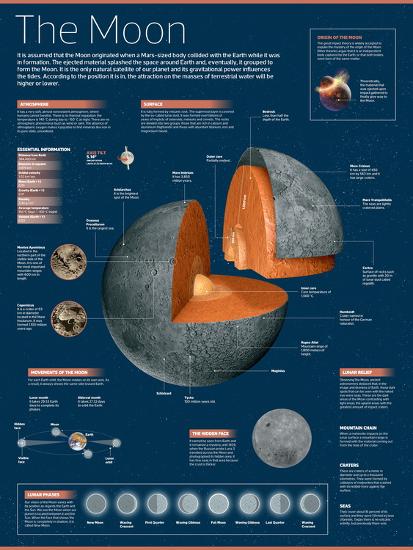 'Infographic on the Moon: its Atmosphere, Composition, Lunar Movements ...