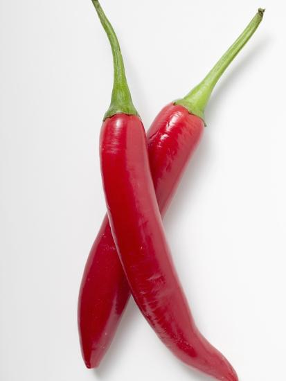 Two Red Chillies Photographic Print at AllPosters.com