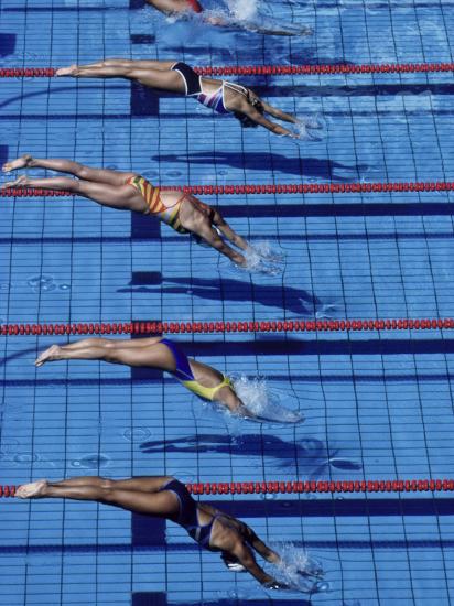 'Female Swimmers at the Start of a Race' Photographic Print ...
