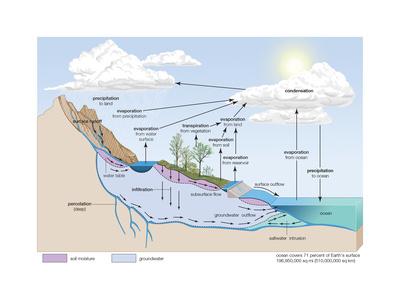 'Water Cycle, Atmosphere, Earth Sciences' Prints - Encyclopaedia ...