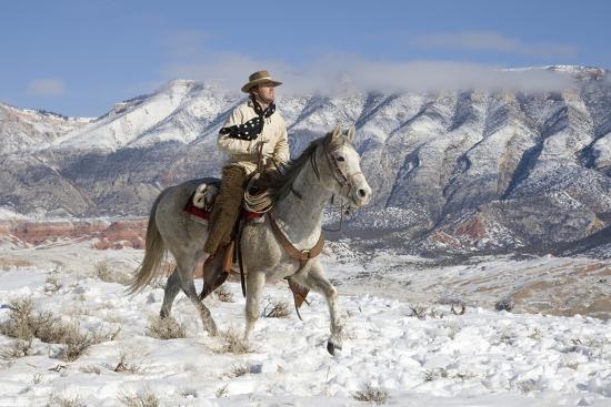 Cowboy On Grey Quarter Horse Trotting In The Snow At Flitner Ranch ...