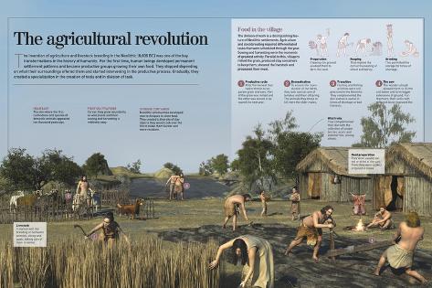 Infographic About the Development Agricultural and Farming Techniques ...