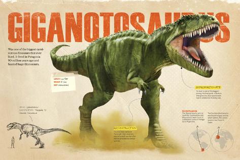 Infographic Showing the Giganotosaurus, Carnivorous Dinosaur of the ...