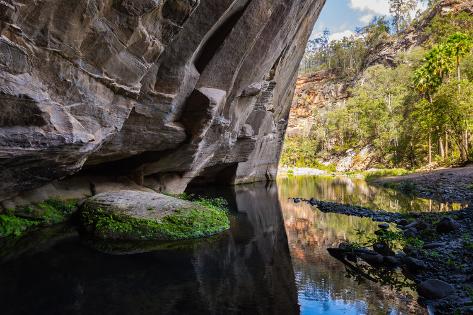 'Carnarvon Gorge National Park, Queensland, Australia' Photographic ...