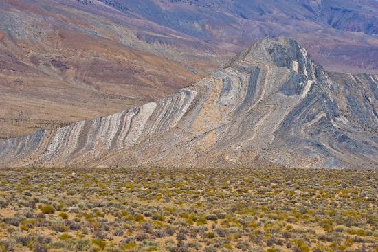 'USA, California, Death Valley National Park, Butte Valley Road ...