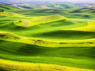 'USA, Washington State. Aerial of Palouse Region.' Photographic Print ...