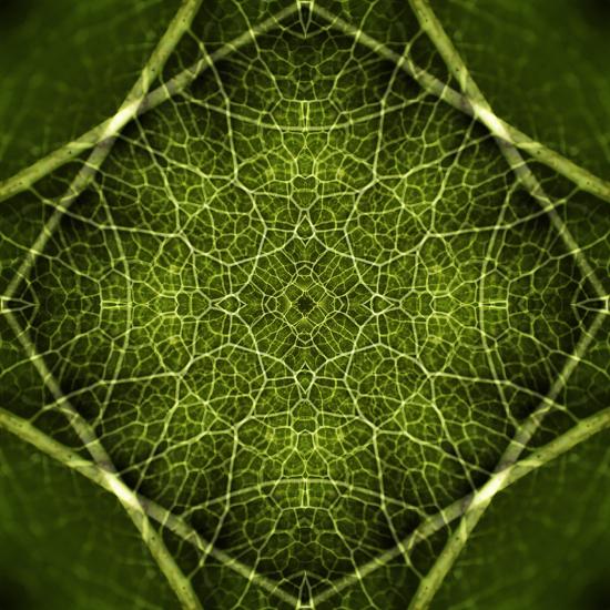 'Patterns of Life, 2016, (digital image)' Photographic Print ...