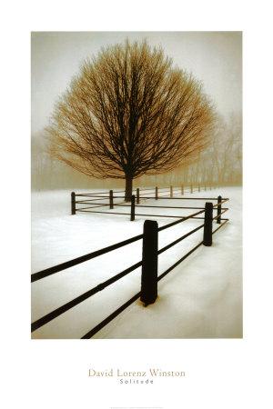 Solitude Prints - David Winston | AllPosters.com