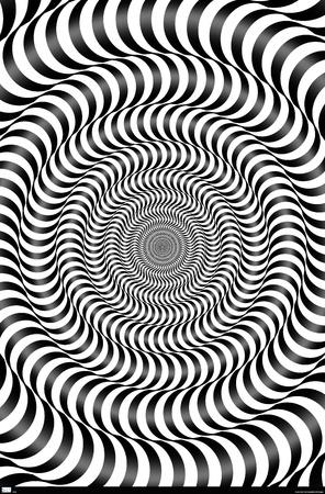 'Zebra Stripe Optical Illusion' Posters | AllPosters.com
