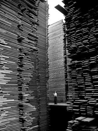 Man Standing in the Lumberyard of Seattle Cedar Lumber Manufacturing ...