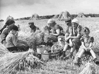'Peasant Farmers Eating Lunch in Wheat Fields' Photographic Print ...