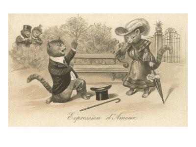 'Victorian Cat Proposing, Expression d'Amour' Prints | AllPosters.com