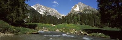 'Stream Flowing Through a Forest, Mt Santis, Mt Altmann, Appenzell Alps ...