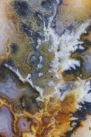 Graveyard Plume Agate, Oregon Photographic Print - Darrell Gulin ...