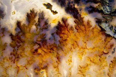 'Graveyard Point Plume, Oregon' Photographic Print - Darrell Gulin ...