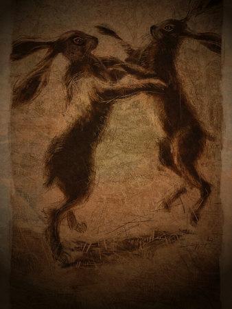 Hare Boxing Photographic Print - Tim Kahane | AllPosters.com