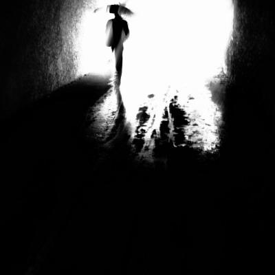 'Vizio' Photographic Print - Sharon Wish | AllPosters.com