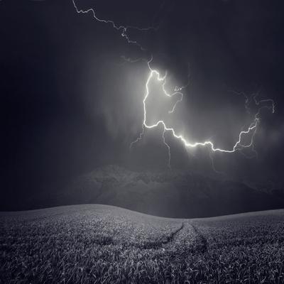 'Zootz' Photographic Print - Luis Beltran | AllPosters.com