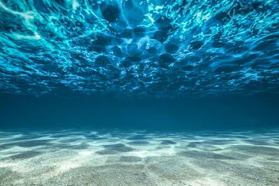 'Ocean Bottom, View Beneath Surface' Photographic Print - Cico ...