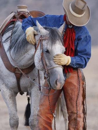Cowboy Leading and Stroking His Horse, Flitner Ranch, Shell, Wyoming ...