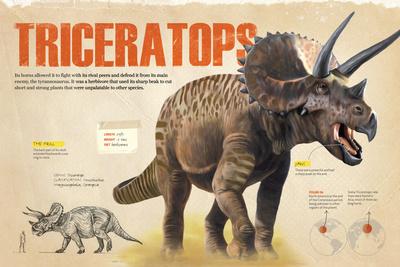 Infographic About Thetriceratops, Dinosaur from the Cretaceous Period ...