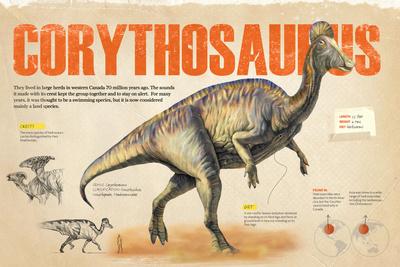 Infographic of the Corythosaurus, a Herbivorous Dinosaur from the ...