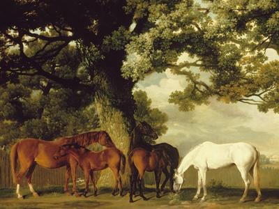 'Green Pastures' Premium Giclee Print - George Stubbs | AllPosters.com