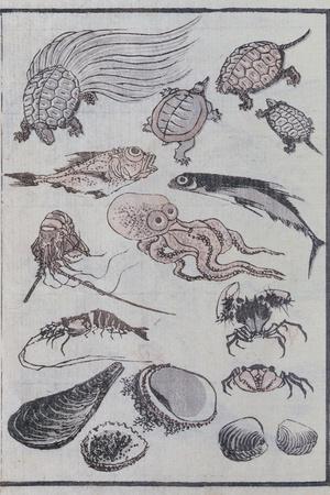 'Undersea Creatures, from a Manga (Colour Woodblock Print)' Giclee ...