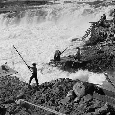 'Dip Net Fishing at Celilo Falls, 1954' Giclee Print - Virna Haffer ...