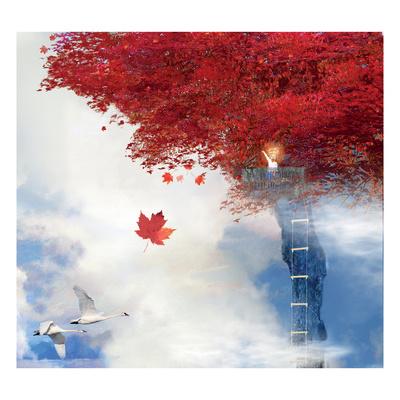 'How High Can You Go?' Prints - Nancy Tillman | AllPosters.com