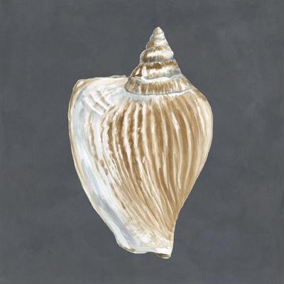 'Shell on Slate VI' Prints - Megan Meagher | AllPosters.com
