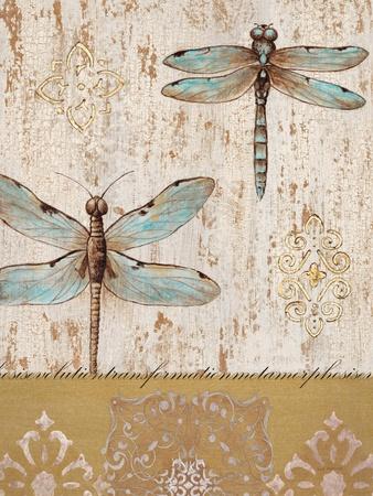 'Dragonfly Evolution' Art - Studio 5 | AllPosters.com