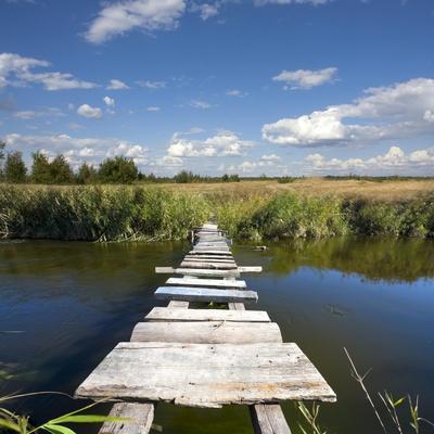 'Wooden Bridge' Poster - pavel klimenko | AllPosters.com