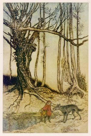 Rackham, Red R.H. and Wolf Prints - Arthur Rackham | AllPosters.com