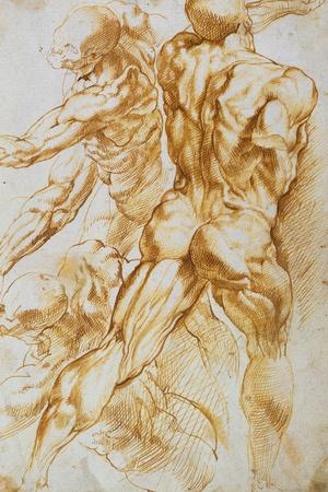 'Anatomical Studies: Nudes in Combat' Giclee Print - Peter Paul Rubens ...