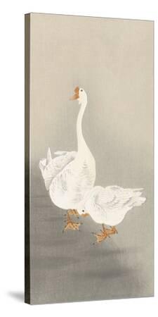 'Two Geese - Peck' Stretched Canvas Print - Ohara Koson | AllPosters.com