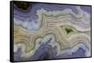 'Close-Up Royal Aztec Lace Agate' Photographic Print - Darrell Gulin ...